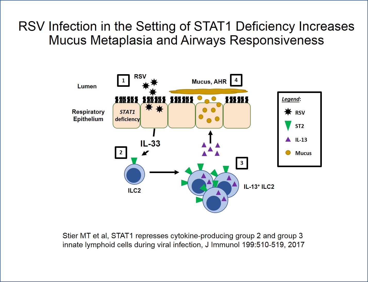 Home | Vanderbilt University Medical Center