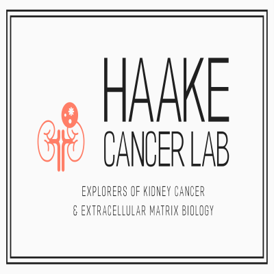 Haake Cancer Lab | Vanderbilt University Medical Center